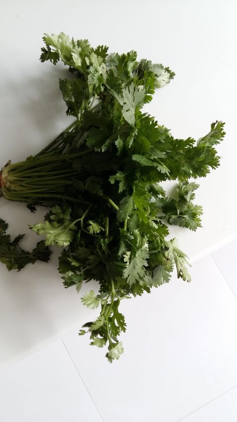 What are the traditional properties of spices coriander and cumin ...