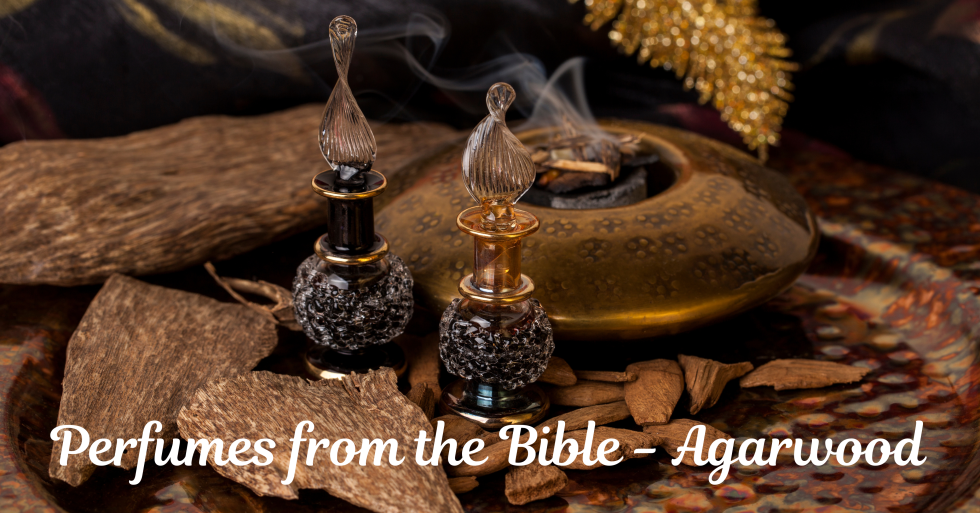 Perfumes from the Bible - Sudhirahluwalia, Inc